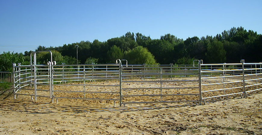 Tout savoir sur le rond de longe | Hors-News